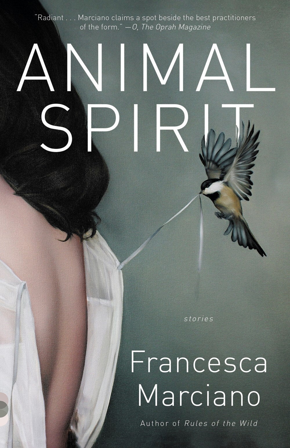 Animal Spirit: Stories by Francesca Marciano | Epilogue Books Chocolate ...